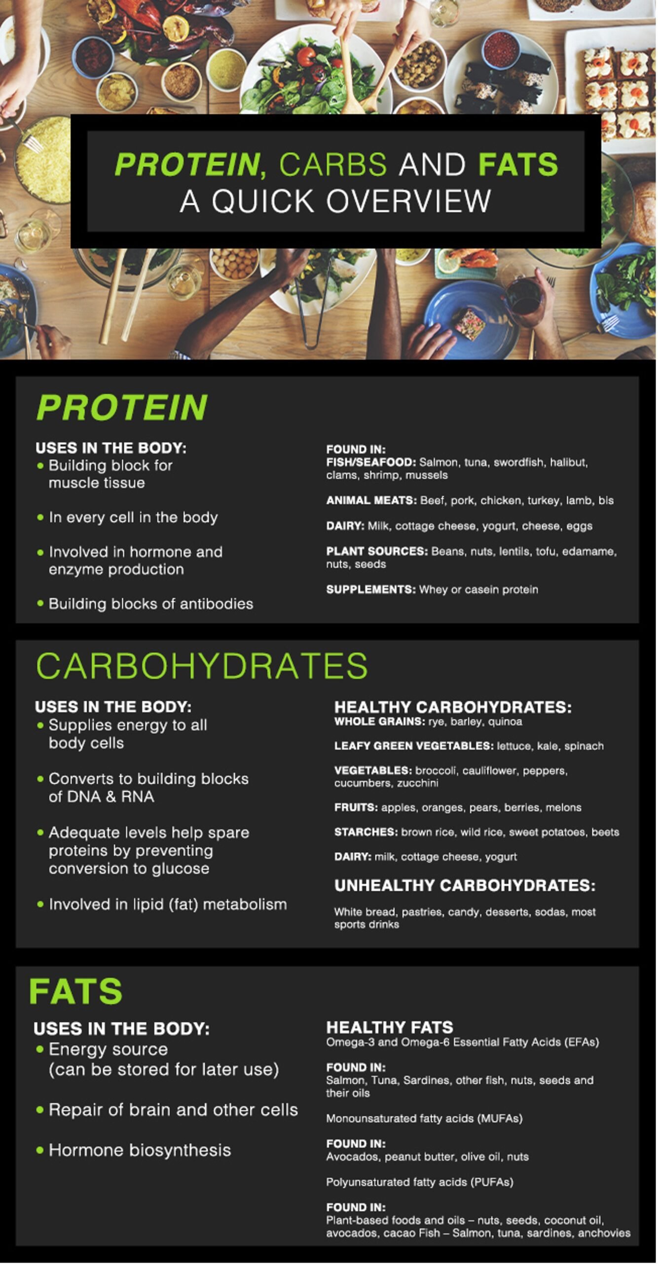 Macronutrients Explained: Protein, Carbs, and Fats Without the ...